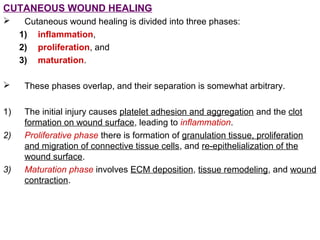 Tissue regeneration and repair l4 | PPT