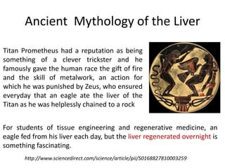 Tissue regeneration of the liver | PPTX