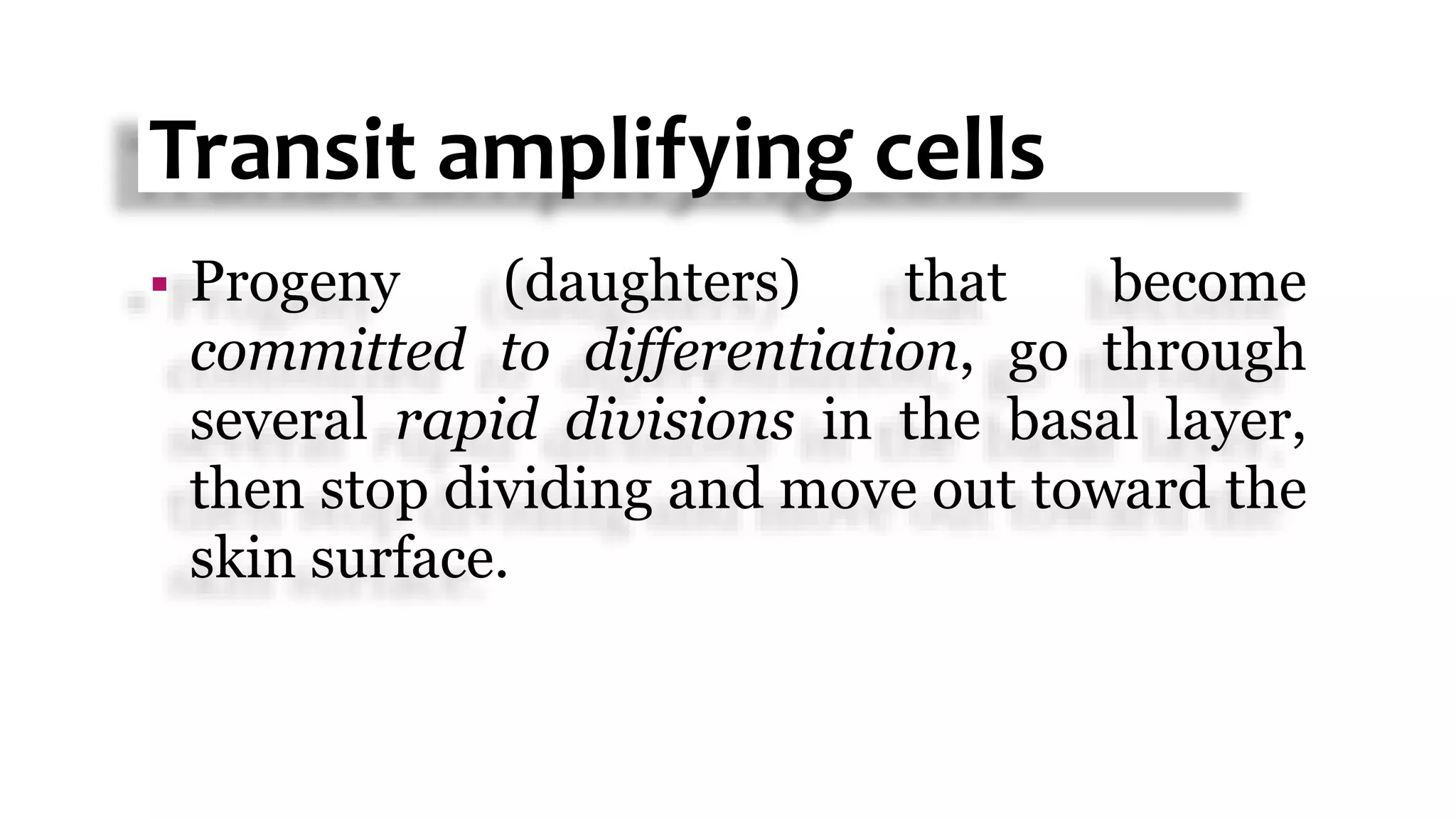 Specialized Tissues, Stem Cells and Tissue Renewal | PPTX