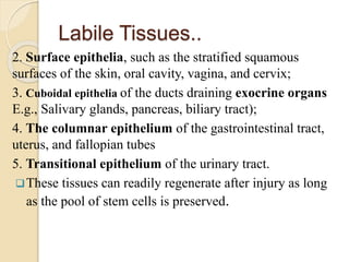 Tissue renewal and healing.pptx