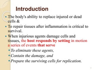 Tissue renewal and healing by MSc Rebira(3).pptx
