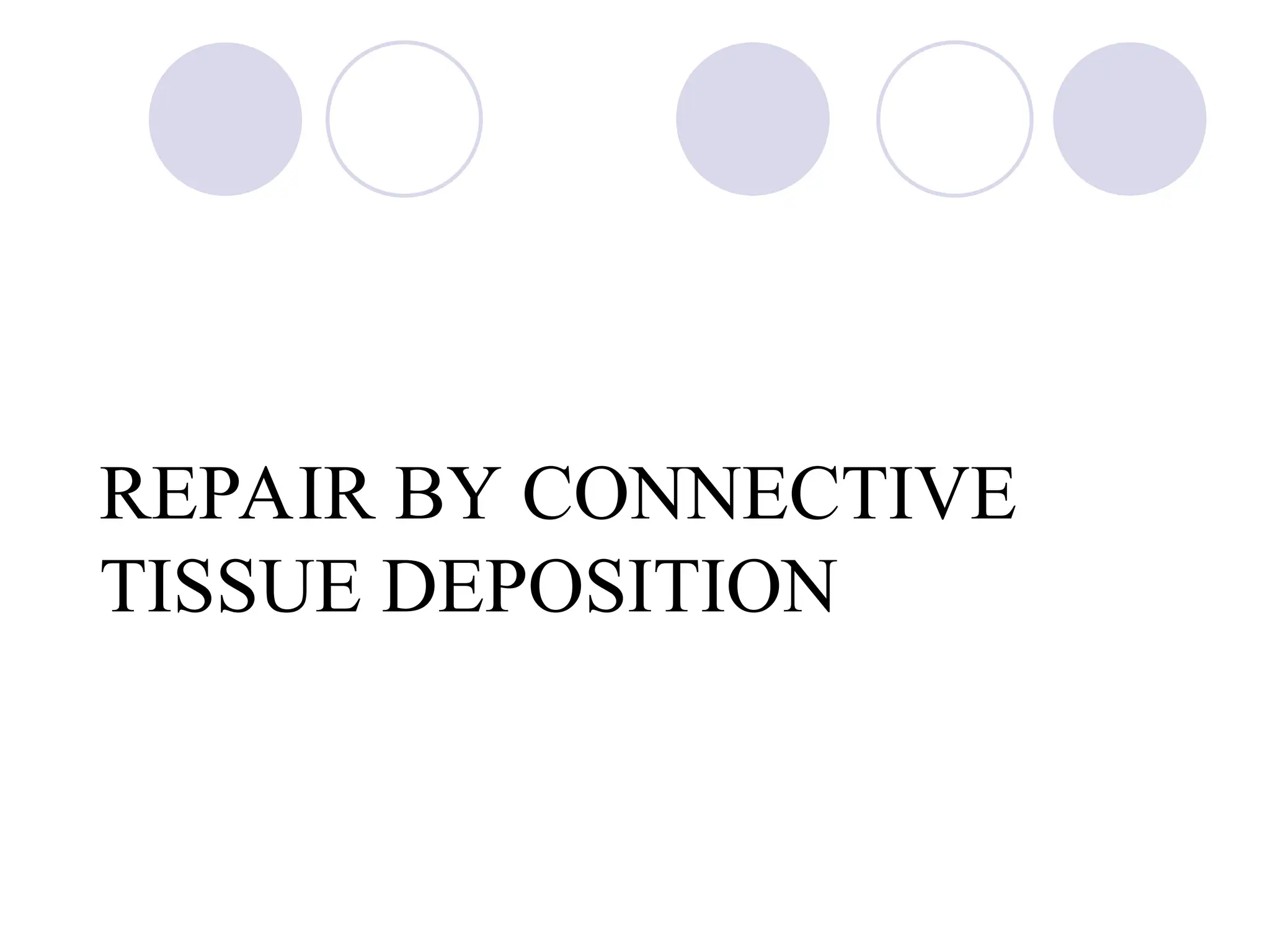 TISSUE RENEWAL AND REPAIR - body’s ability to replace injured.ppt ...