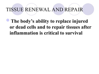 TISSUE RENEWAL AND REPAIR - body’s ability to replace injured.ppt