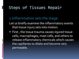 Tissue repair | PPTX