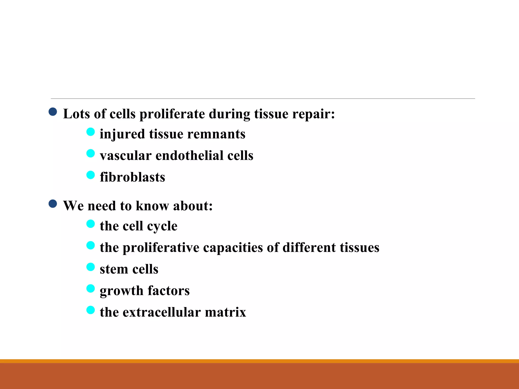 Robbins Basic Pathology - Tissue Repair | PPT