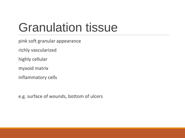 Robbins Basic Pathology - Tissue Repair | PPT