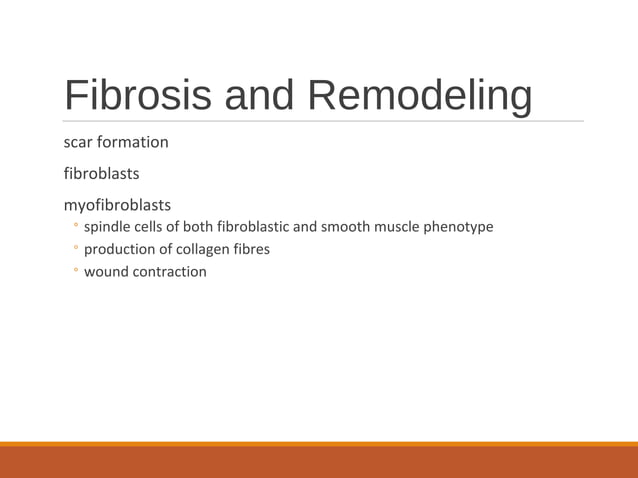 Robbins Basic Pathology - Tissue Repair | PPT