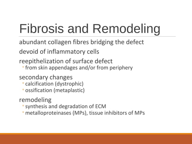 Robbins Basic Pathology - Tissue Repair | PPT