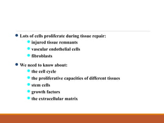 Robbins Basic Pathology - Tissue Repair | PPT