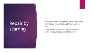 TISSUE REPAIR.pptx