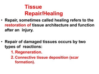 Tissue repair.pptx