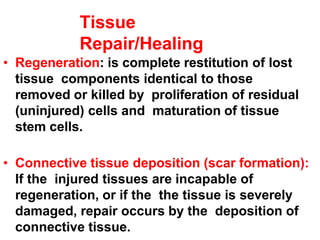 Tissue repair.pptx