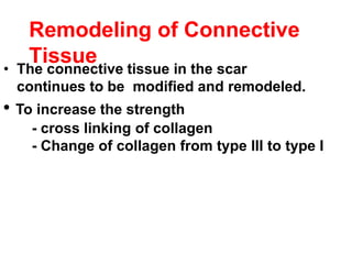 Tissue repair.pptx