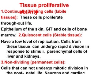 Tissue repair.pptx