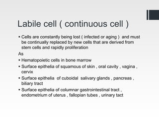 Tissue Repair in general pathology important.pdf