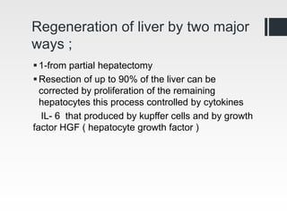 Tissue Repair in general pathology important.pdf