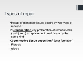Tissue Repair in general pathology important.pdf