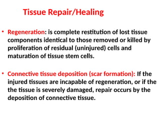 TISSUE REPAIR BY DR. SADAKAT BASHIR.pptx