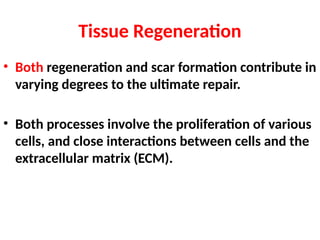 TISSUE REPAIR BY DR. SADAKAT BASHIR.pptx