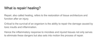 Comprehensive Overview of Tissue Repair and Healing Processes | PPTX