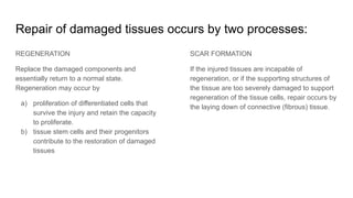 Comprehensive Overview of Tissue Repair and Healing Processes | PPTX