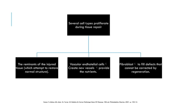 mekanisme perbaikan jaringan, repai,repair,repai,repai,repair | PPT