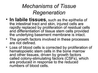 Tissue repair, regeneration and wound healing (1) | PPT