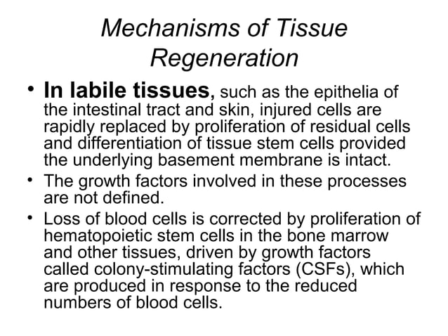 Tissue repair, regeneration and wound healing (1) | PPT | Biological ...