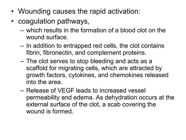 Tissue repair, regeneration and wound healing (1) | PPT | Biological ...