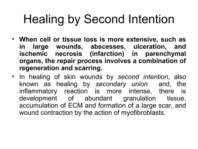 Tissue repair, regeneration and wound healing (1) | PPT | Biological ...