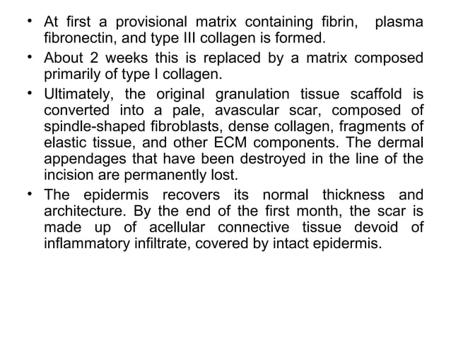 Tissue repair, regeneration and wound healing (1) | PPT | Biological ...