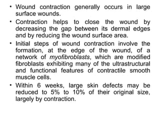 Tissue repair, regeneration and wound healing (1) | PPT