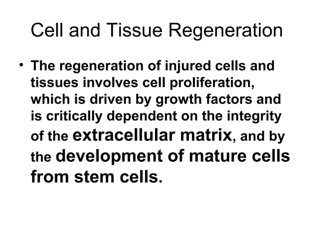 Tissue repair, regeneration and wound healing (1) | PPT | Biological ...