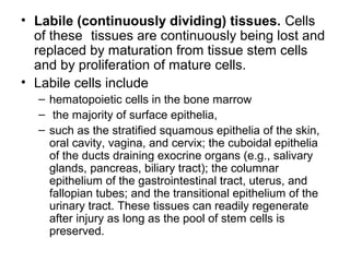 Tissue repair, regeneration and wound healing (1) | PPT