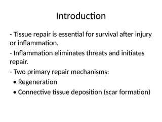 Tissue_Repair_Regeneration_Scar_Formation_Presentation.pptx