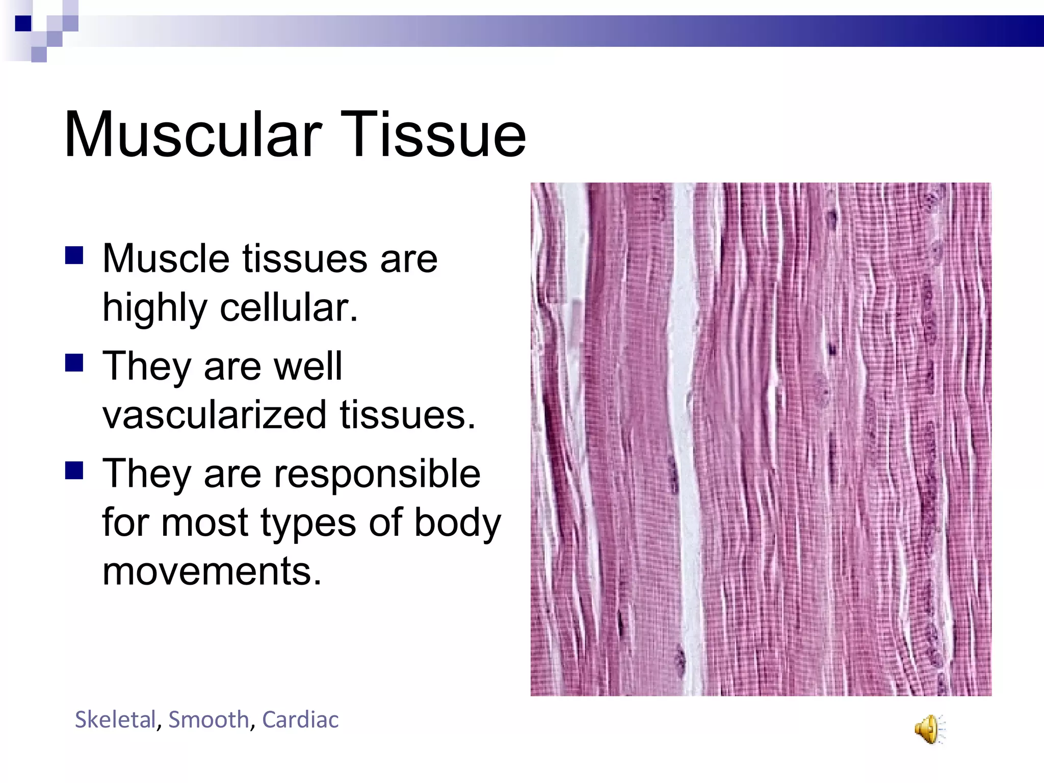 Tissues | PPT