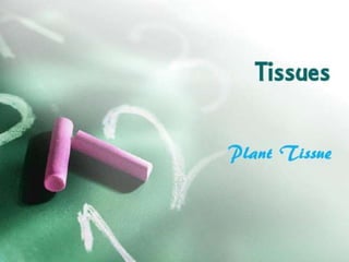 Tissues | PPTX | Biological Sciences | Science