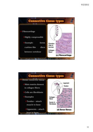 Tissues by JITENDRA BHANGALE | PDF