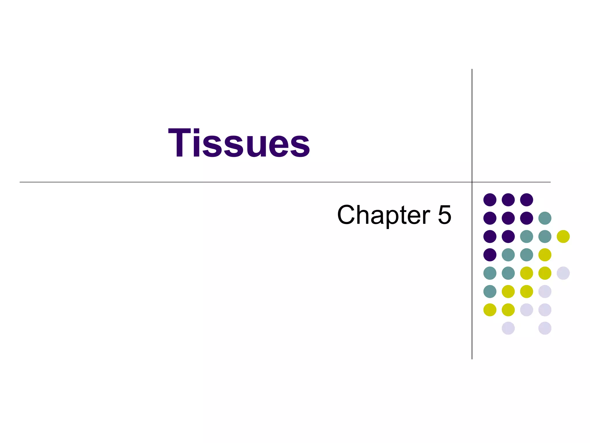 Tissues | PPT