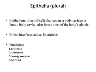 Tissues_Marieb | PPT