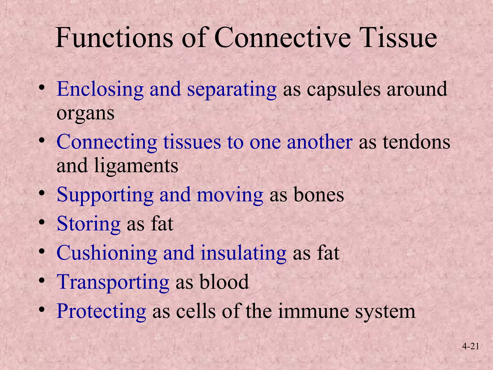 Histology: Tissues | PPT
