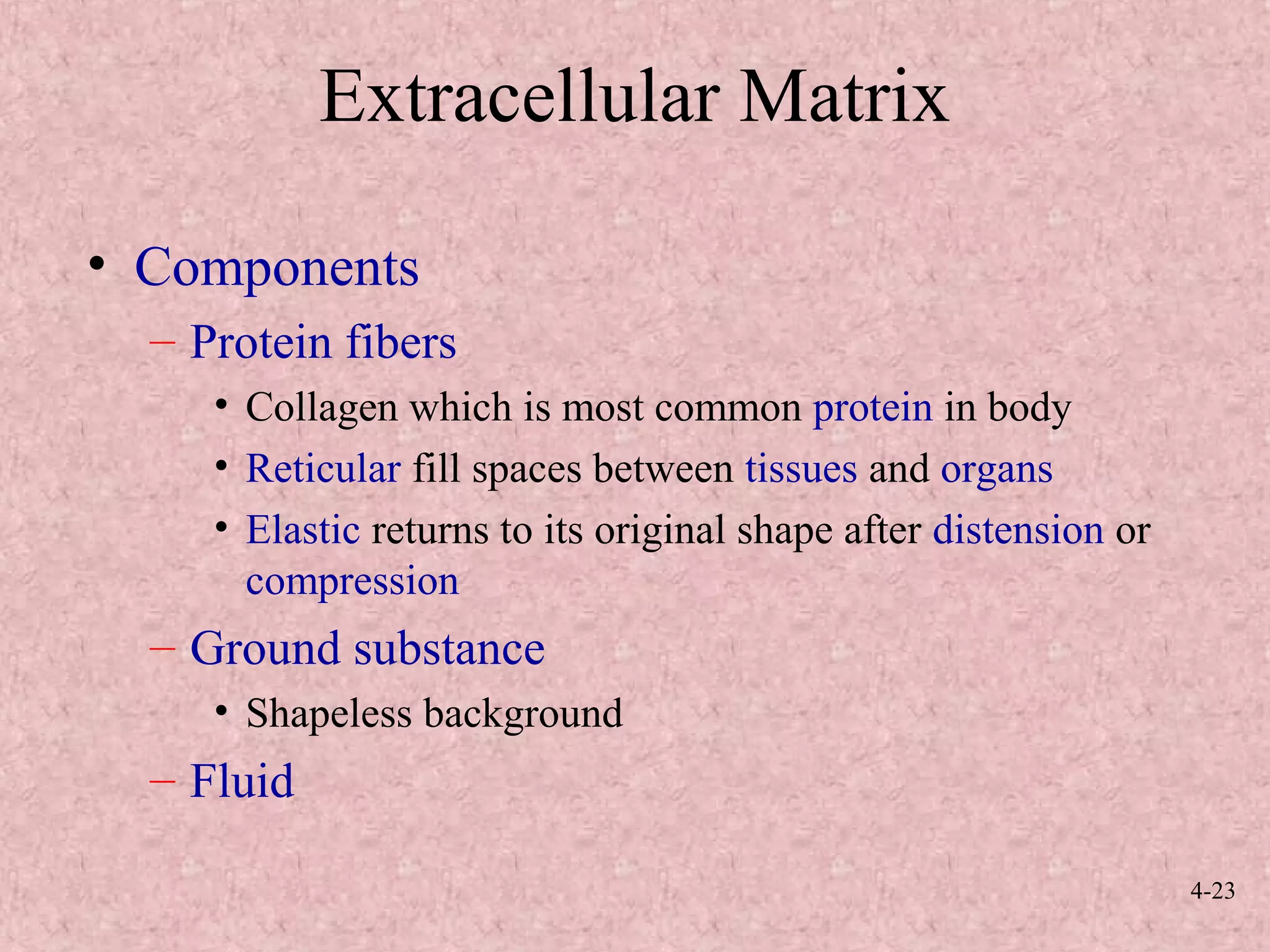 Histology: Tissues | PPT