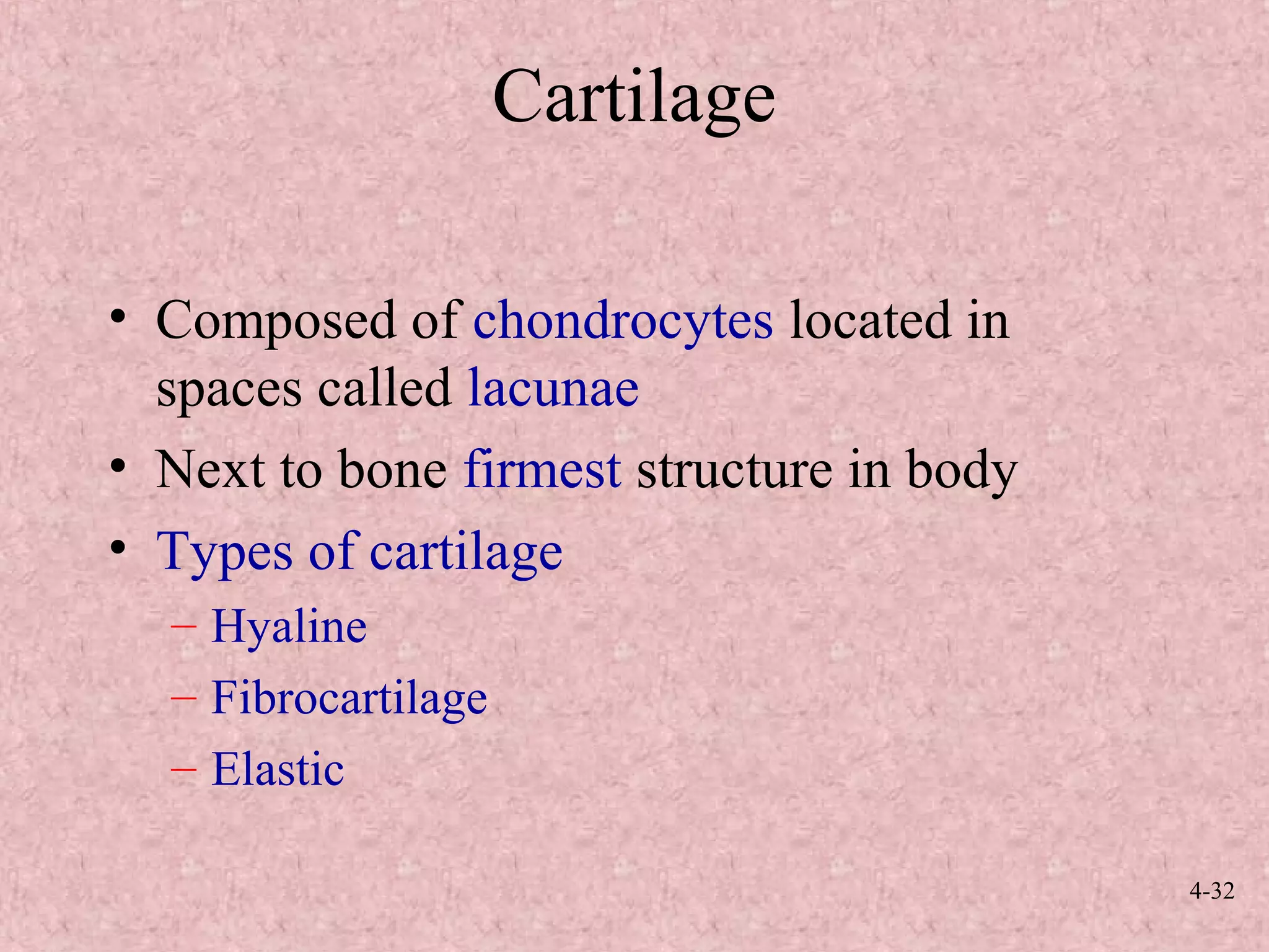 Histology: Tissues | PPT