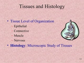 Histology: Tissues | PPT