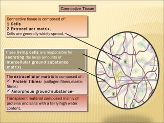 Tissues | PPT | Gardening | Home & Garden