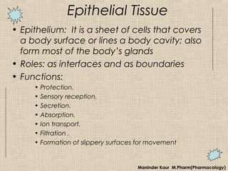 Tissues: An overview | PPT