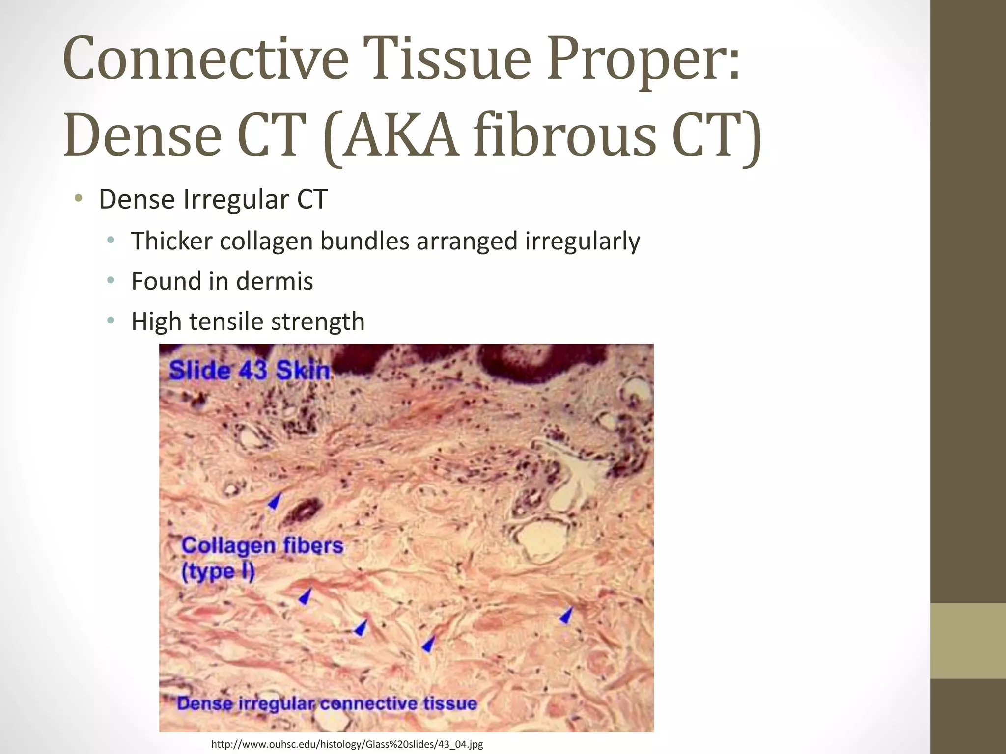 A brief overview of histology. | PPTX