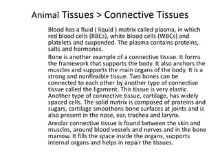 Plants and Animals Tissues | PPTX