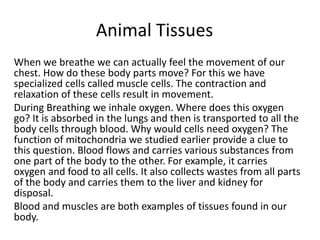 Plants and Animals Tissues | PPTX