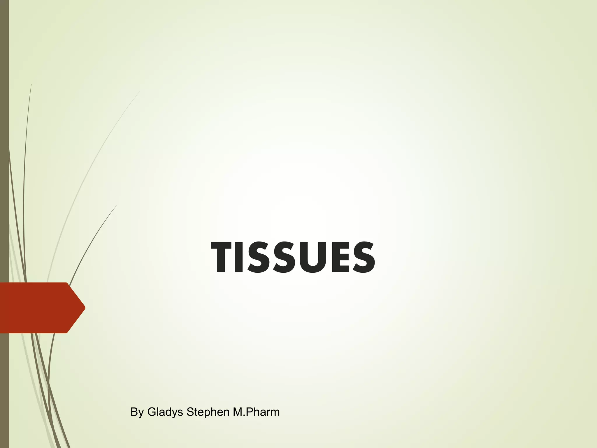 Tissues | PPTX